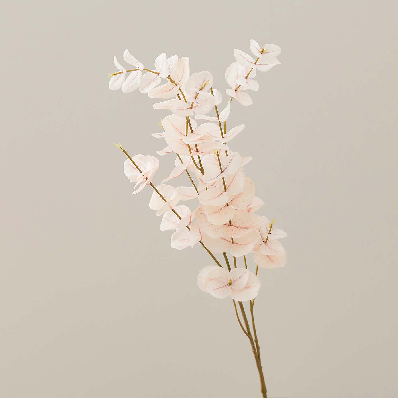 Artificial Cream Eucalyptus Dunelm