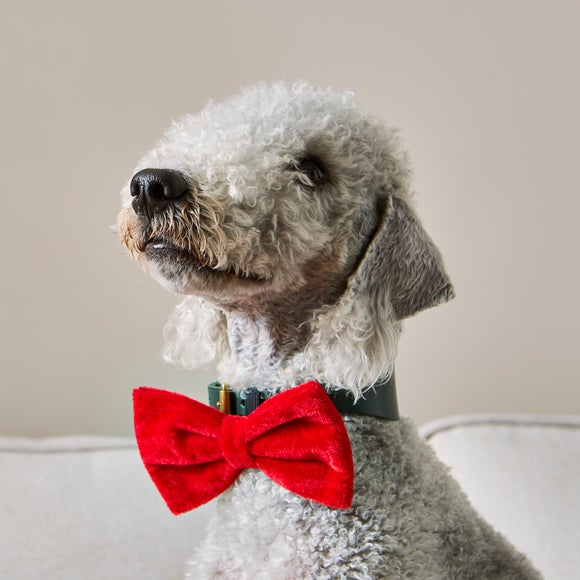 Christmas Dog Bow Tie Dunelm