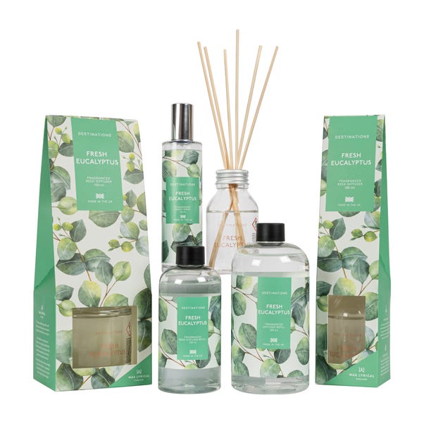 Fresh Eucalyptus Reed Diffuser Dunelm